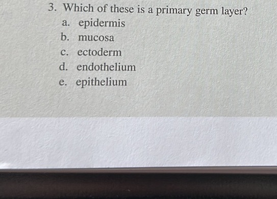 3. Which of these is a primary germ layer? | StudyX