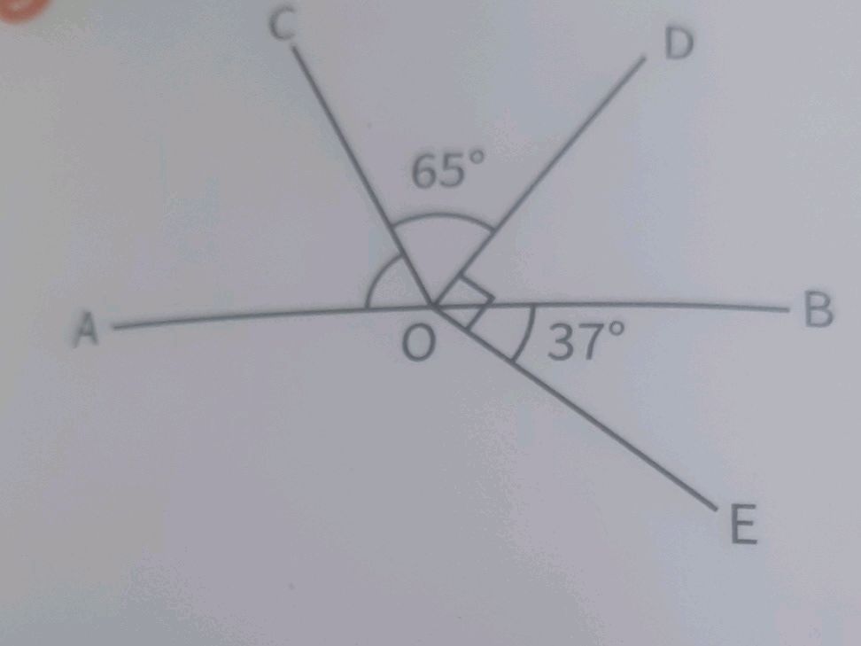 The image shows intersecting lines with | StudyX