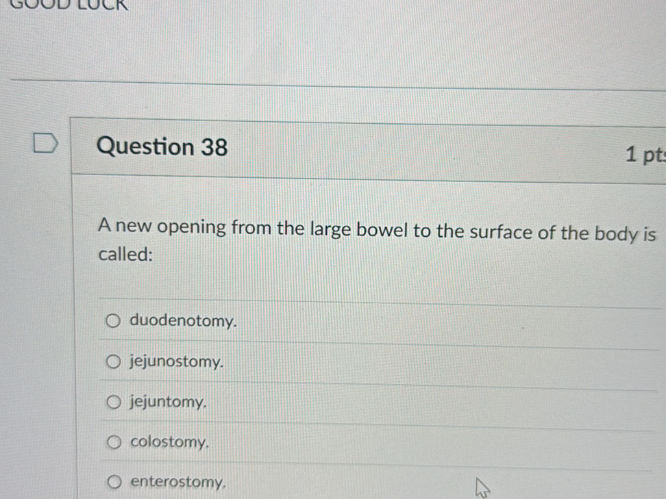 A new opening from the large bowel to the | StudyX