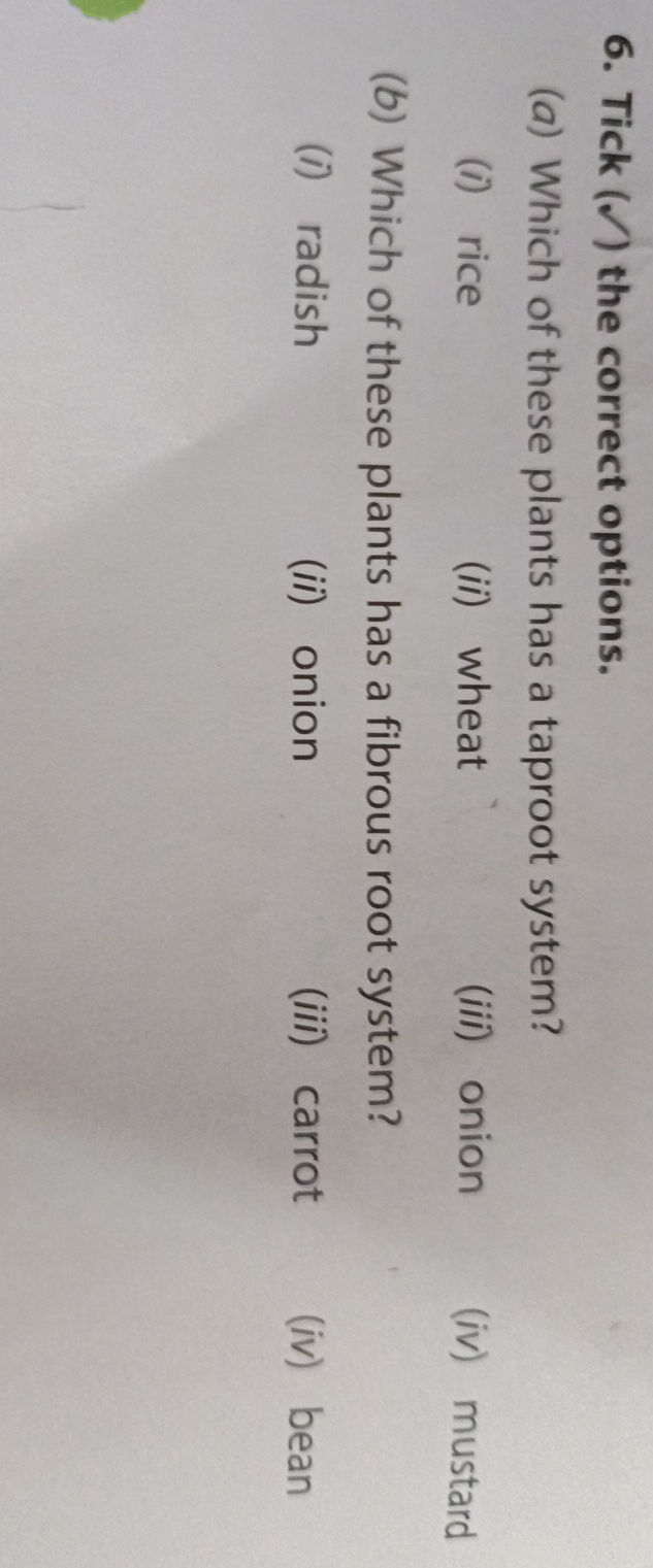 6. Tick ( ) the correct options. (a) Which | StudyX