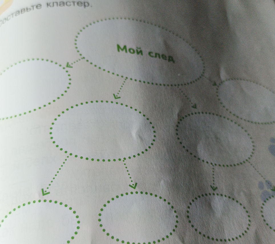 The image shows a cluster diagram with the | StudyX