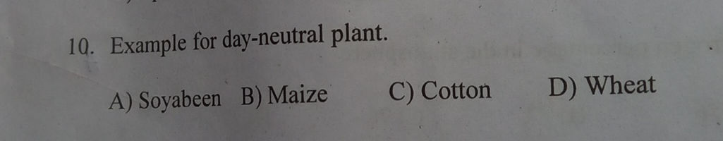 10. Example for day-neutral plant. A) | StudyX
