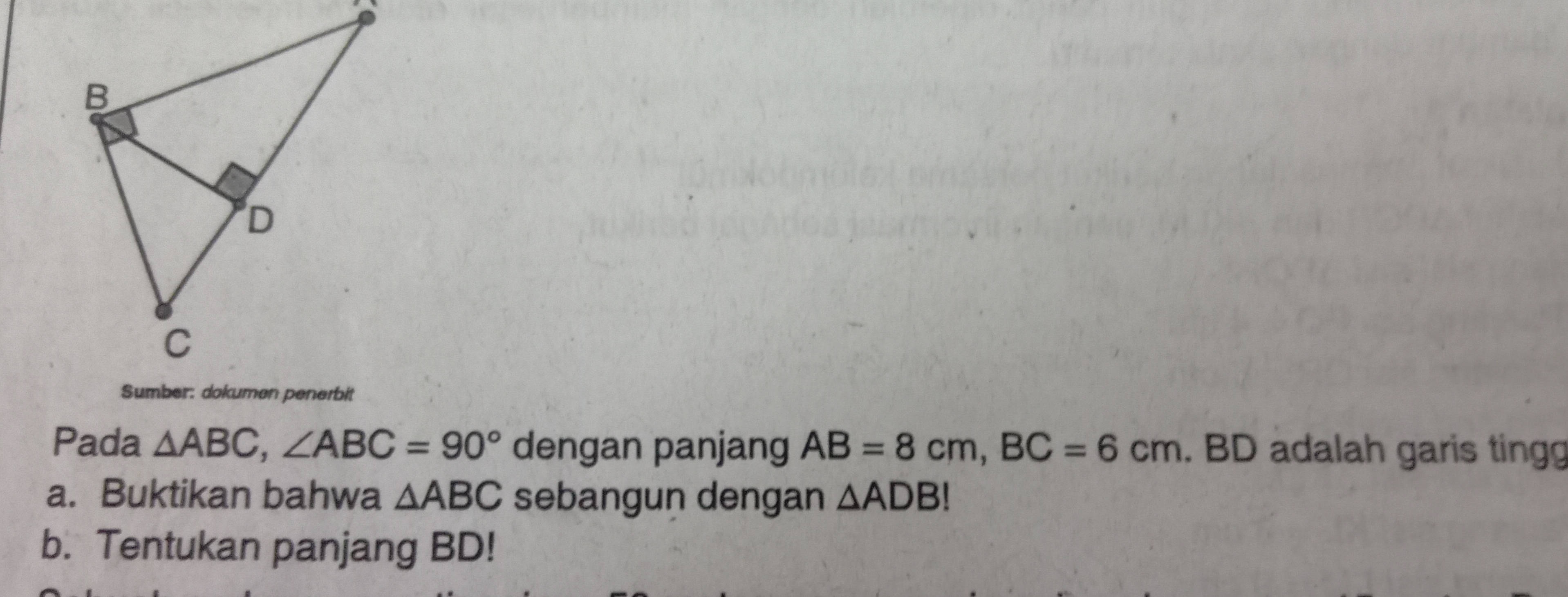 Pada ΔABC, ∠ABC = 90° dengan panjang AB = 8 | StudyX