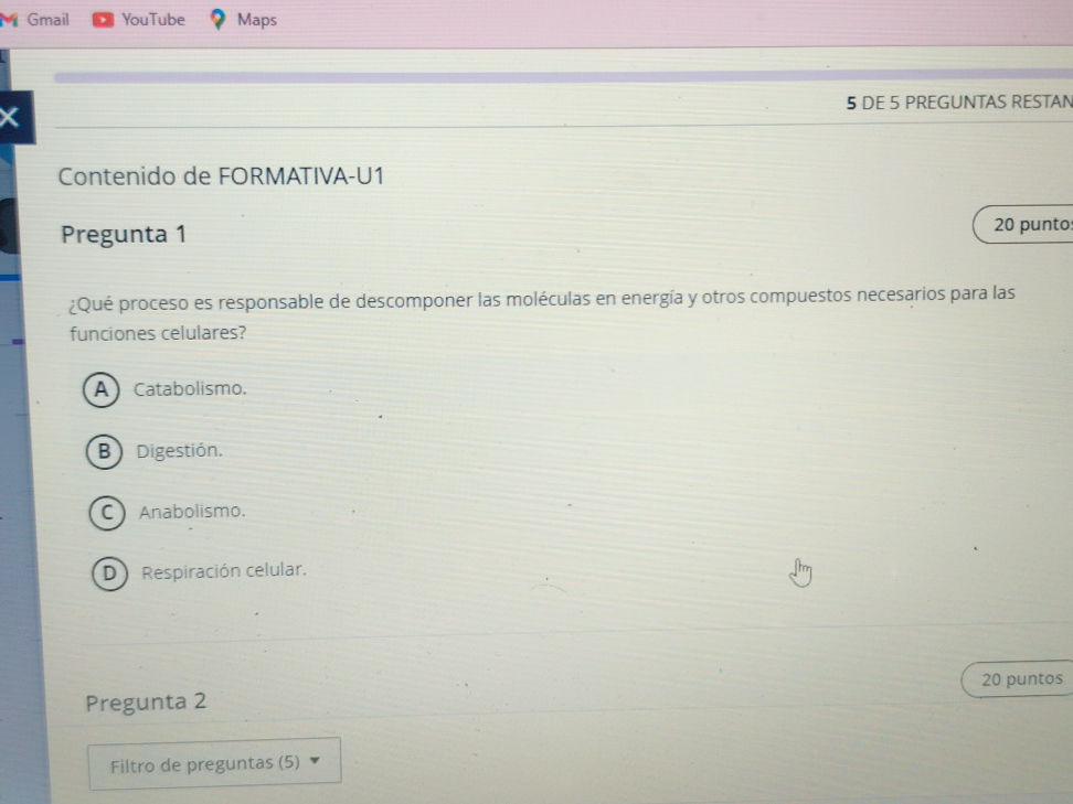 ¿Qué proceso es responsable de descomponer | StudyX