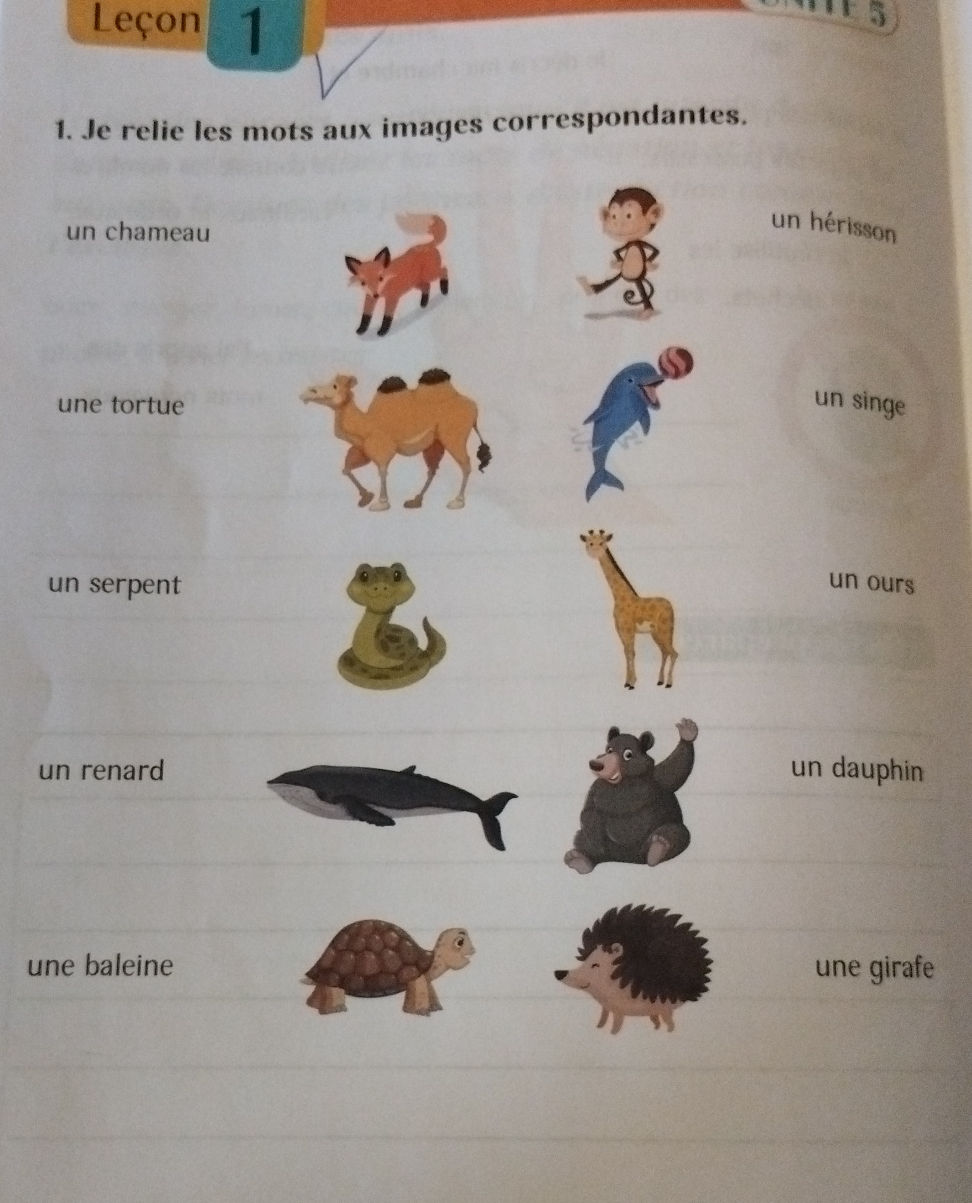 1. Je relie les mots aux images | StudyX