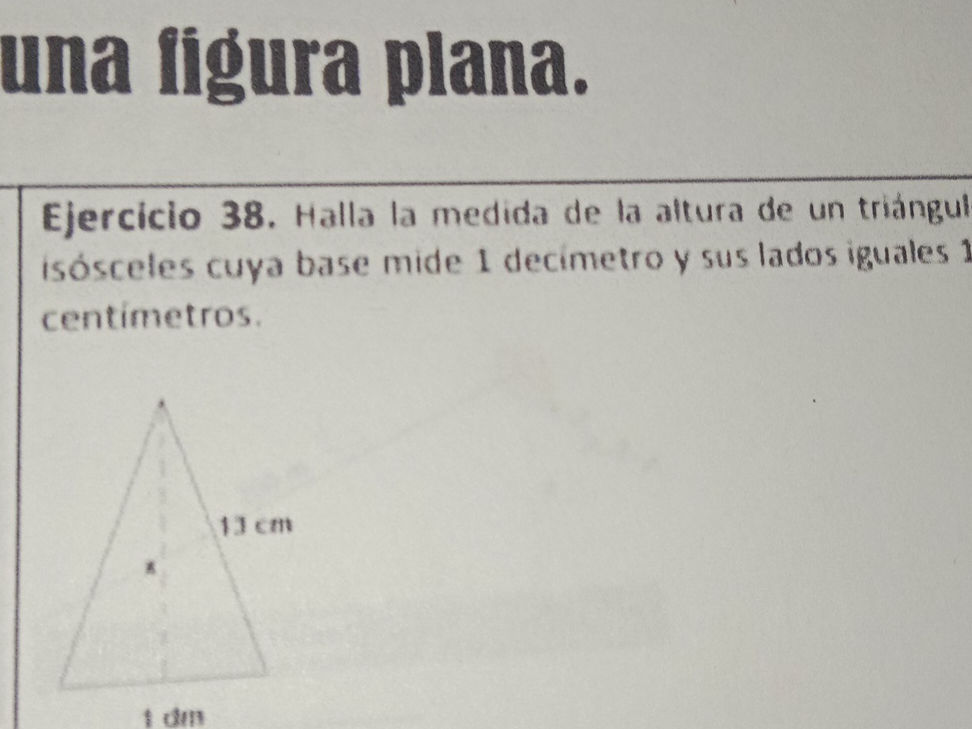 Ejercicio 38. Halla la medida de la altura | StudyX