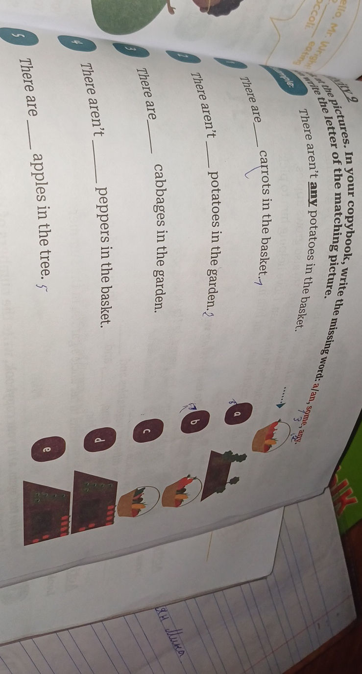 In your copybook, write the missing word: | StudyX