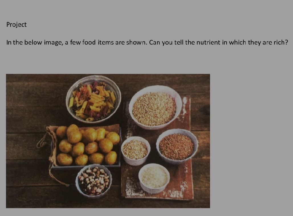 In the below image, a few food items are | StudyX