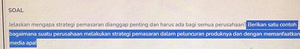 Jelaskan mengapa strategi pemasaran dianggap | StudyX