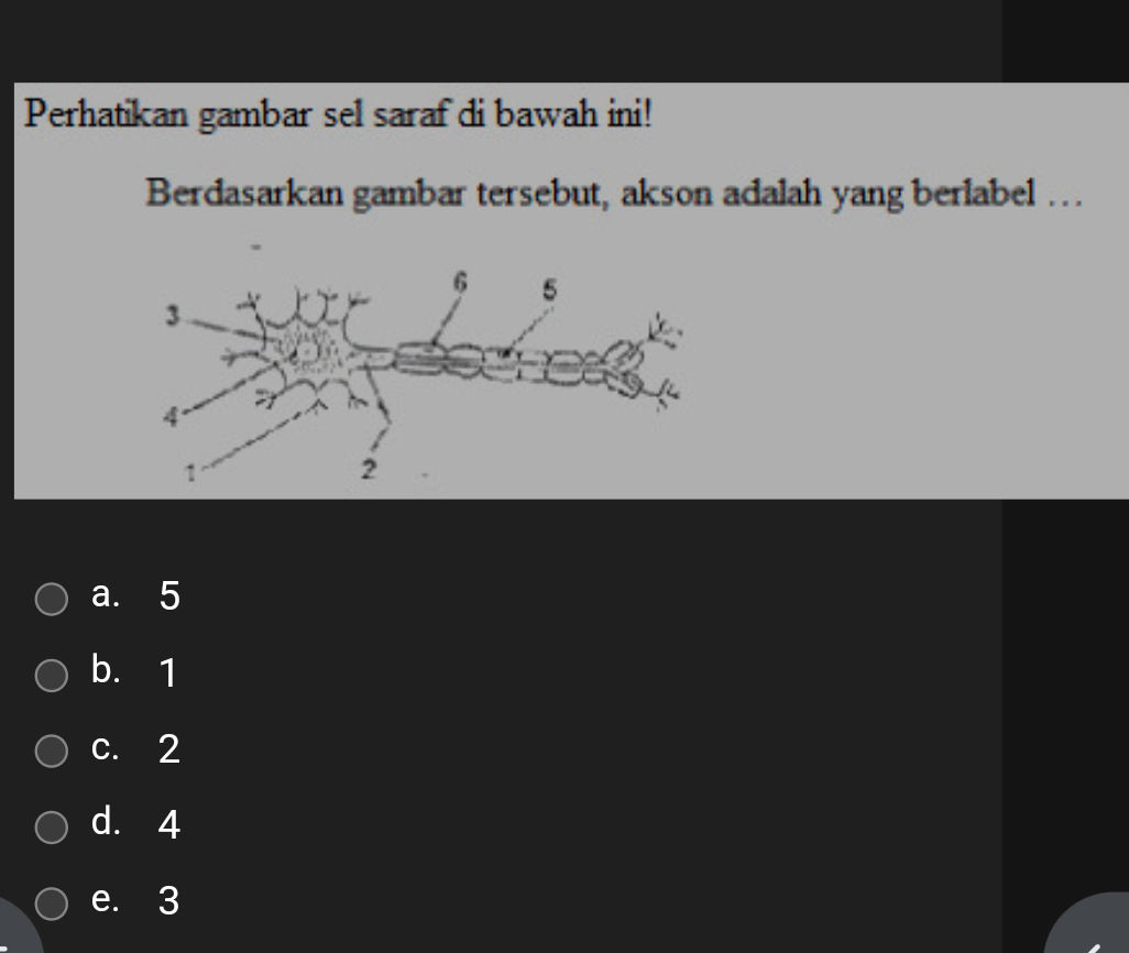 Perhatikan gambar sel saraf di bawah ini! | StudyX