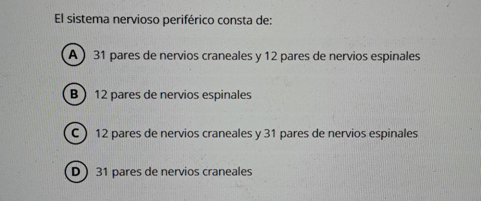 El sistema nervioso periférico consta de: | StudyX