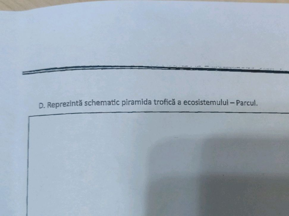 D. Reprezintă schematic piramida trofică a | StudyX