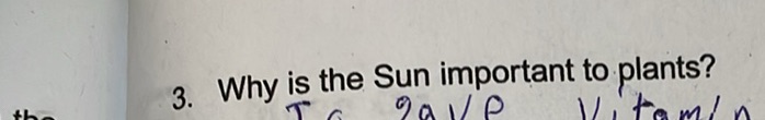 3. Why is the Sun important to plants? To | StudyX