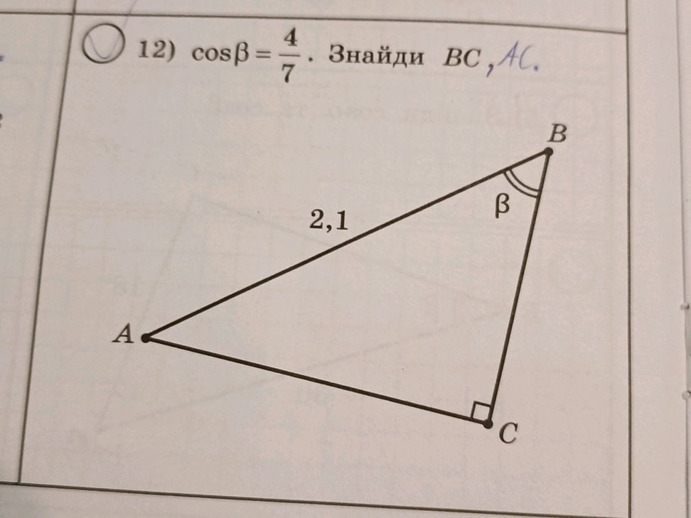 Find BC and AC given cosβ = 4/7 | StudyX