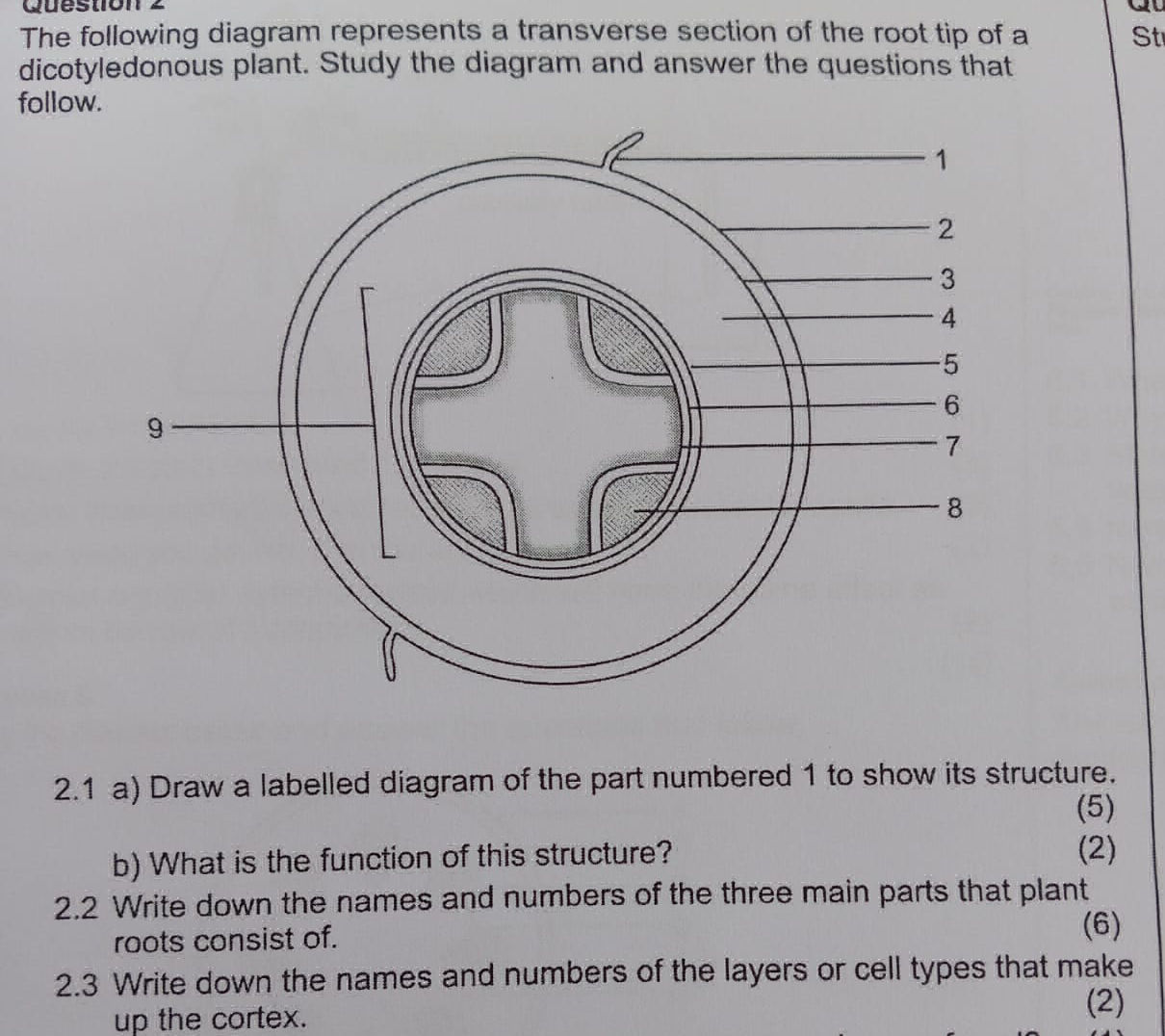 The following diagram represents a | StudyX