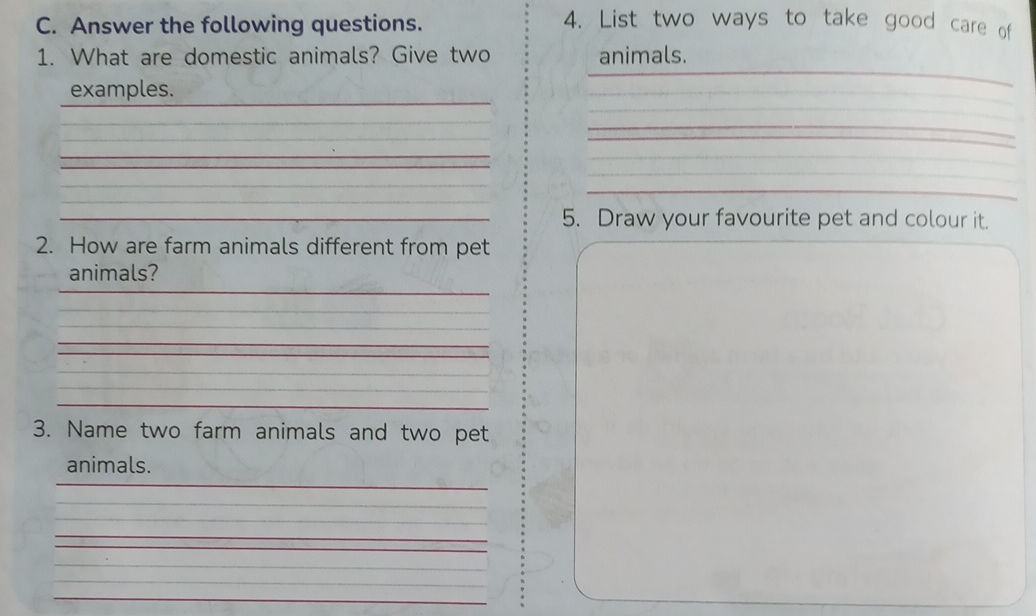 C. Answer the following questions. 1. What | StudyX