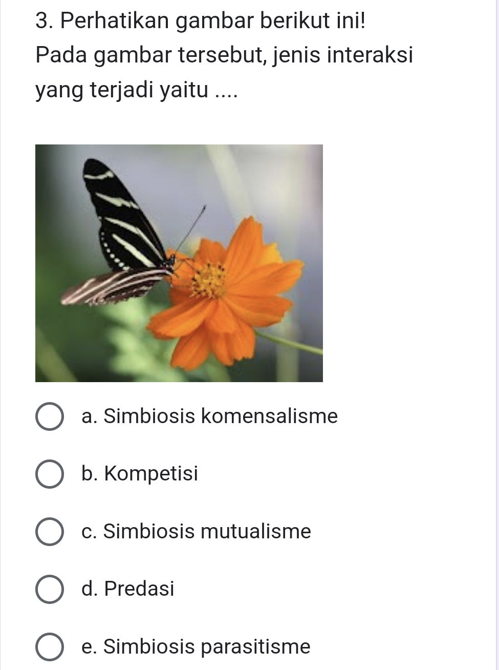 3. Perhatikan gambar berikut ini! Pada | StudyX