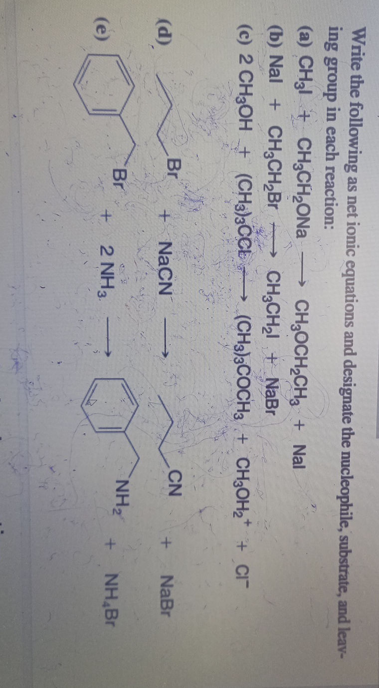 Write the following as net ionic equations | StudyX