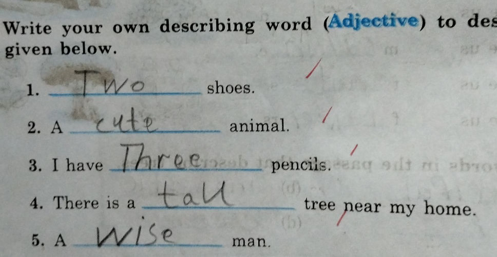 Write your own describing word (Adjective) | StudyX