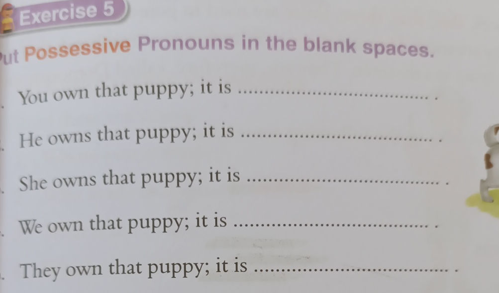Put Possessive Pronouns in the blank spaces. | StudyX