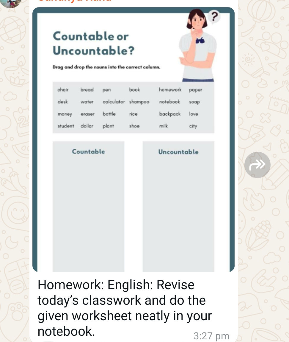 Countable or Uncountable? Drag and drop the | StudyX