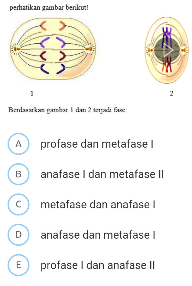 Berdasarkan gambar 1 dan 2 terjadi fase: A | StudyX