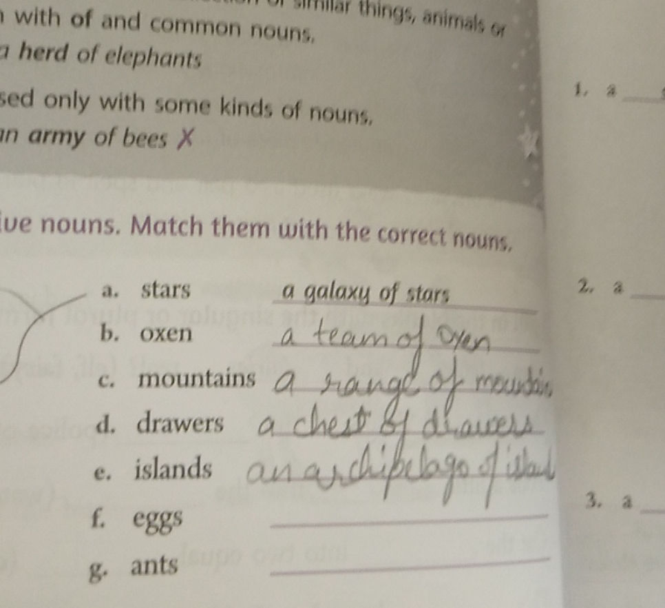 Match the collective nouns with the correct | StudyX