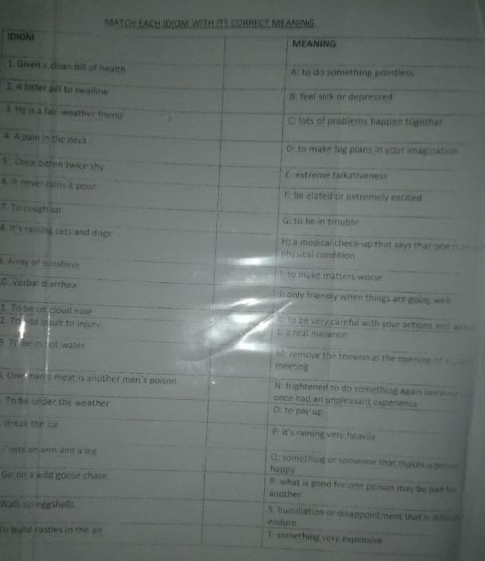 Match each idiom with its correct meaning. | StudyX