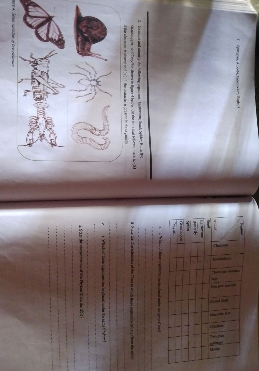 2. Examine and identify the following | StudyX
