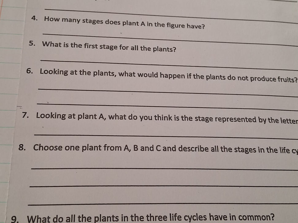 4. How many stages does plant A in the | StudyX