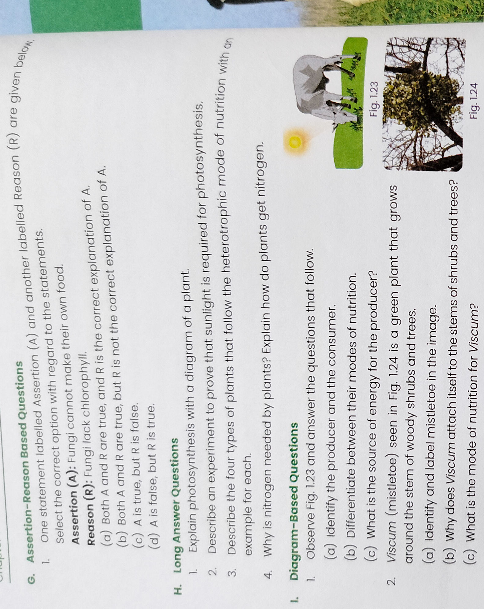 G. Assertion-Reason Based Questions 1. One | StudyX