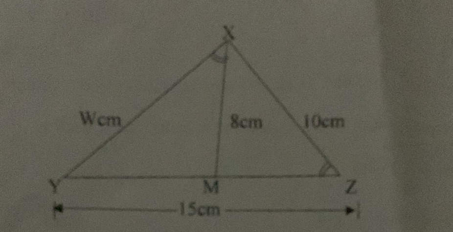 The image shows a triangle XYZ with a line | StudyX