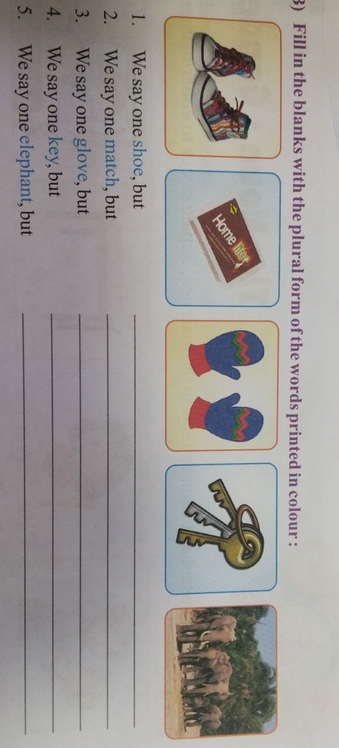 3) Fill in the blanks with the plural form | StudyX