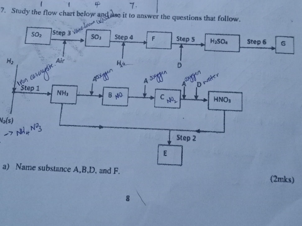 7. Study the flow chart below and use it to | StudyX