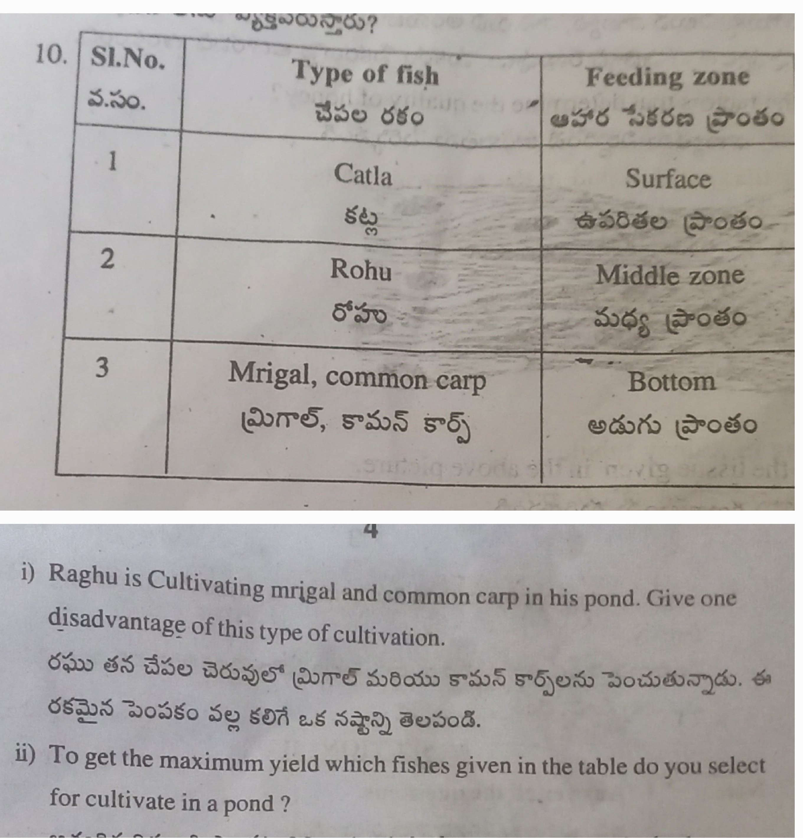 Sl.No. | Type of fish | Feeding zone | | StudyX