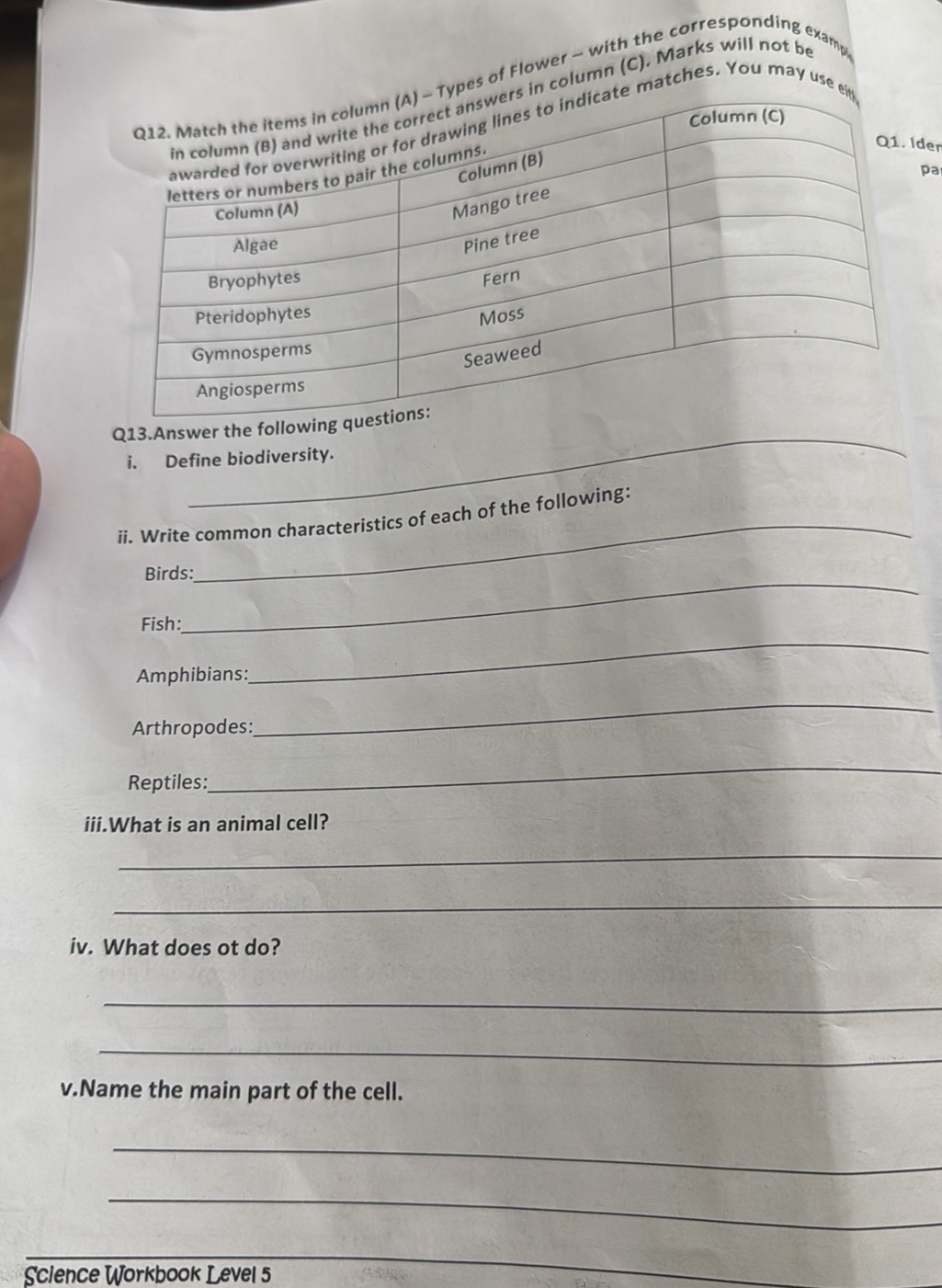 Q12. Match the items in column (A) - Types | StudyX