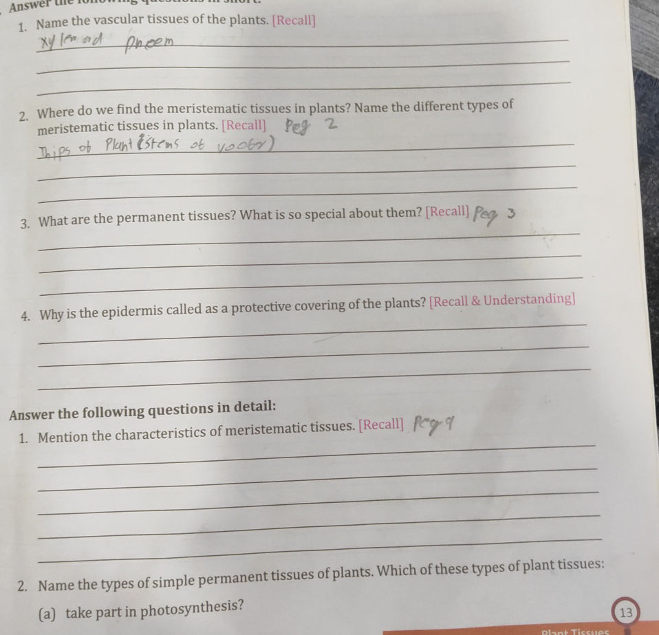 1. Name the vascular tissues of the plants. | StudyX