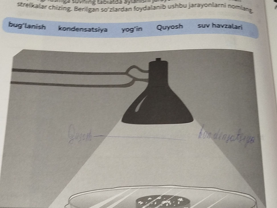 Iga suvning tabiatda ay strelkalar chizing. | StudyX