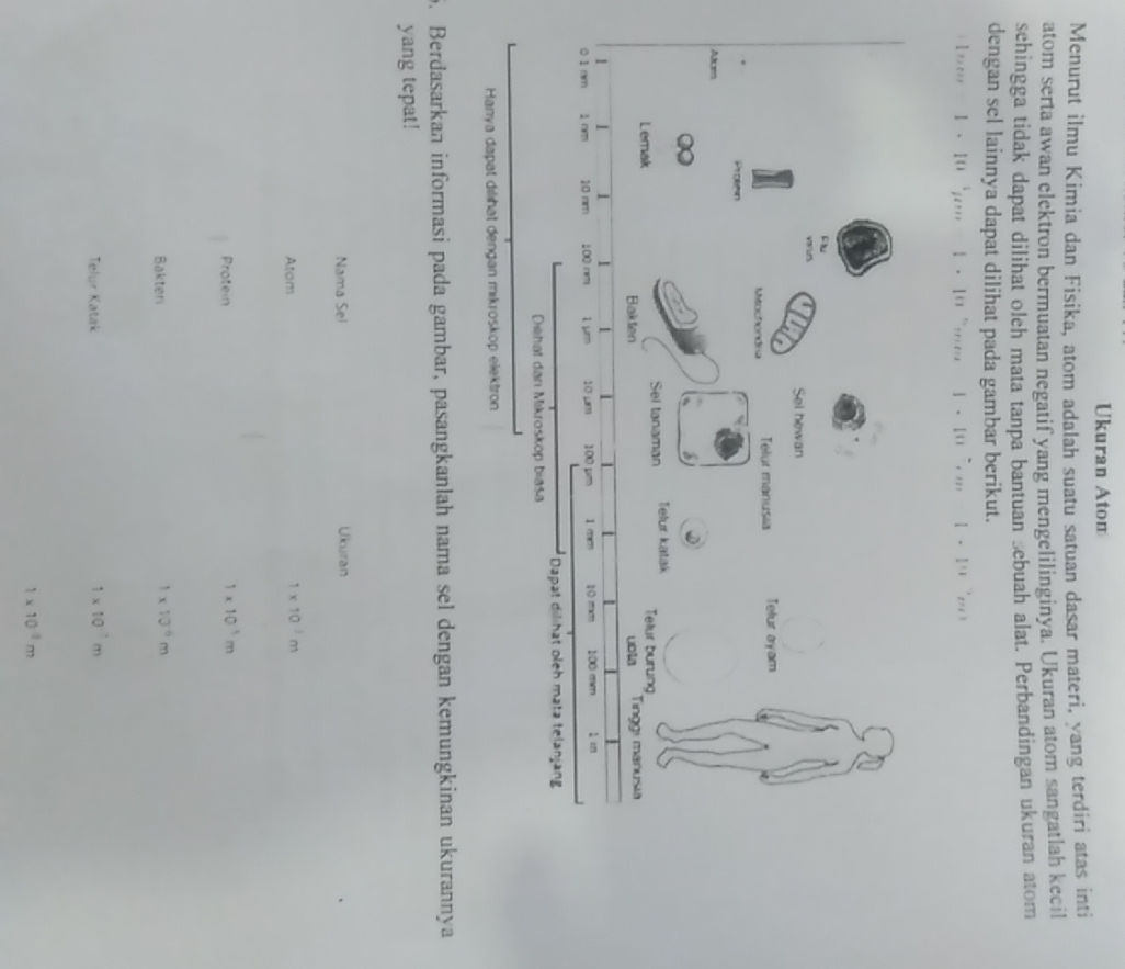 Berdasarkan informasi pada gambar, | StudyX