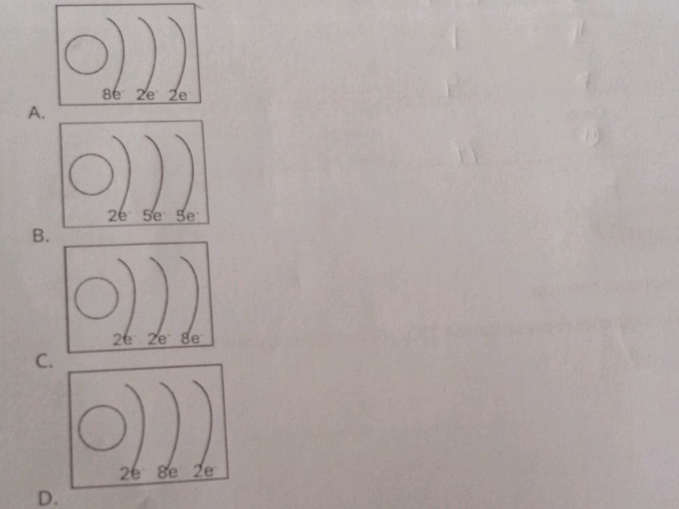 A. 8e 2e 2e B. 2e 5e 5e C. 2e 2e 8e D. | StudyX