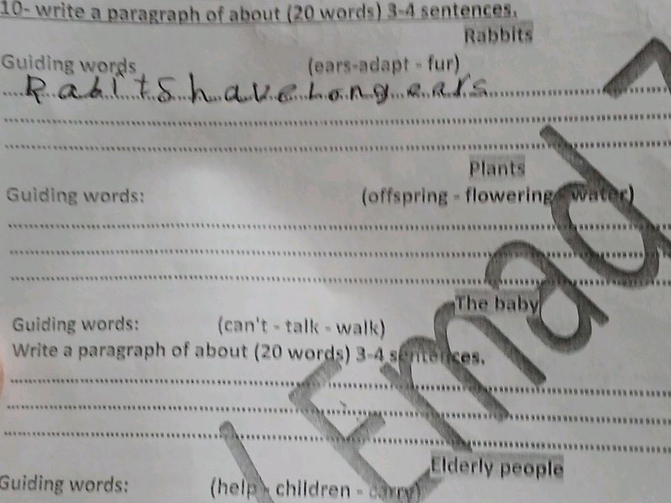 10- write a paragraph of about (20 words) | StudyX