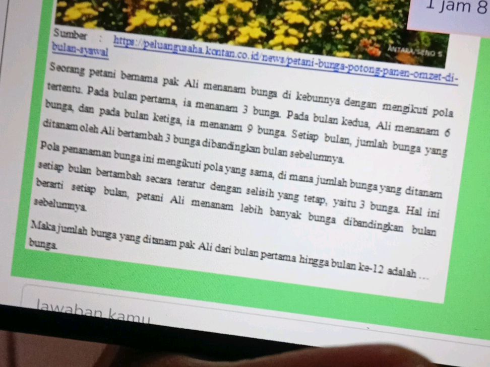 Seorang petani bernama pak Ali menanam bunga | StudyX
