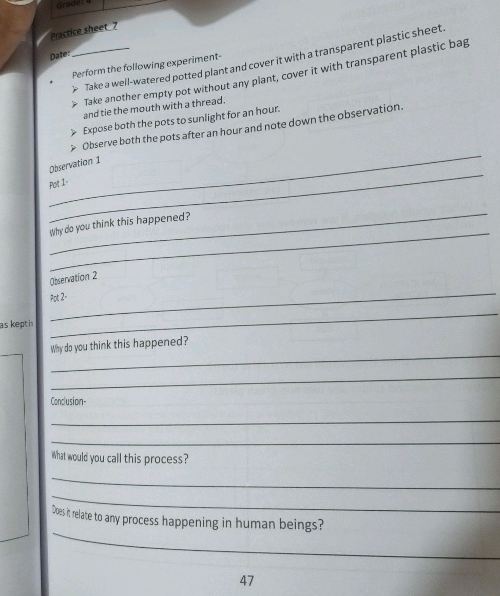 Perform the following experiment- * Take | StudyX