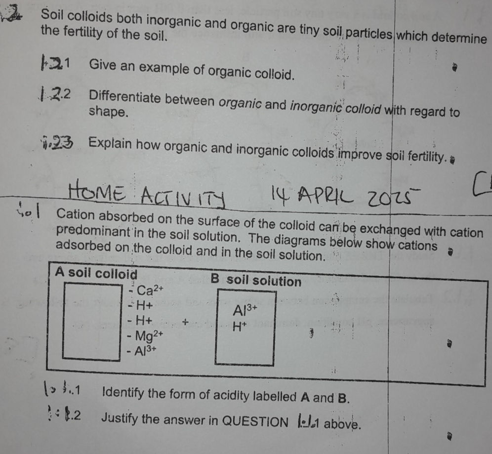 1. 21 Give an example of organic colloid. | StudyX