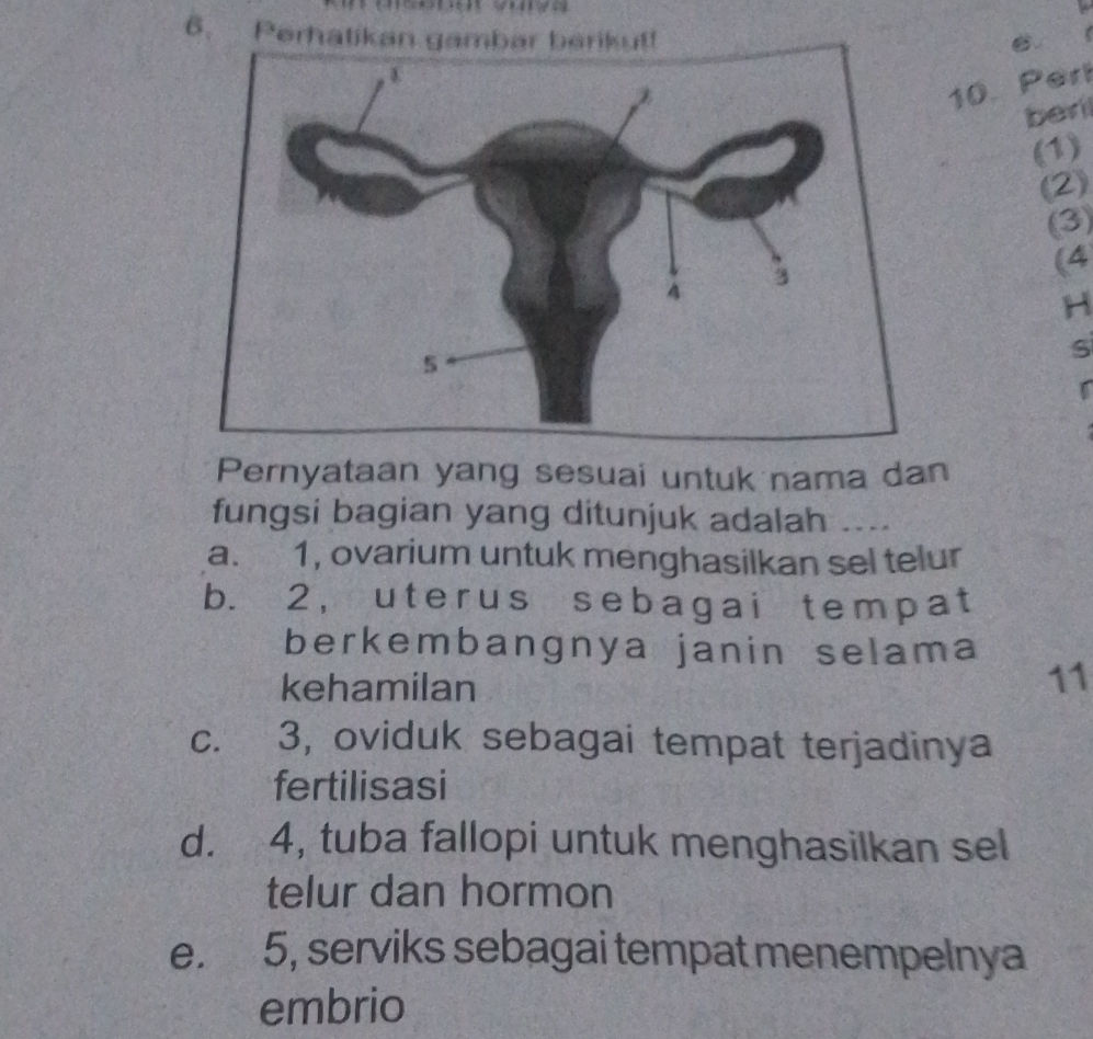 Perhatikan gambar berikut! Pernyataan yang | StudyX