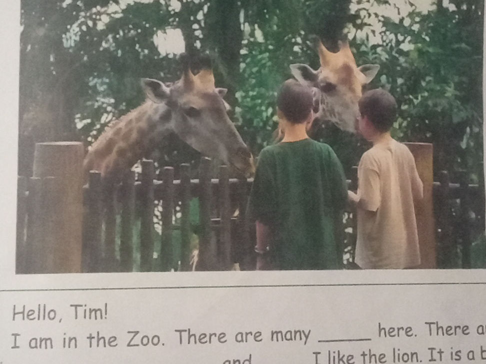 Hello, Tim! I am in the Zoo. There are many | StudyX