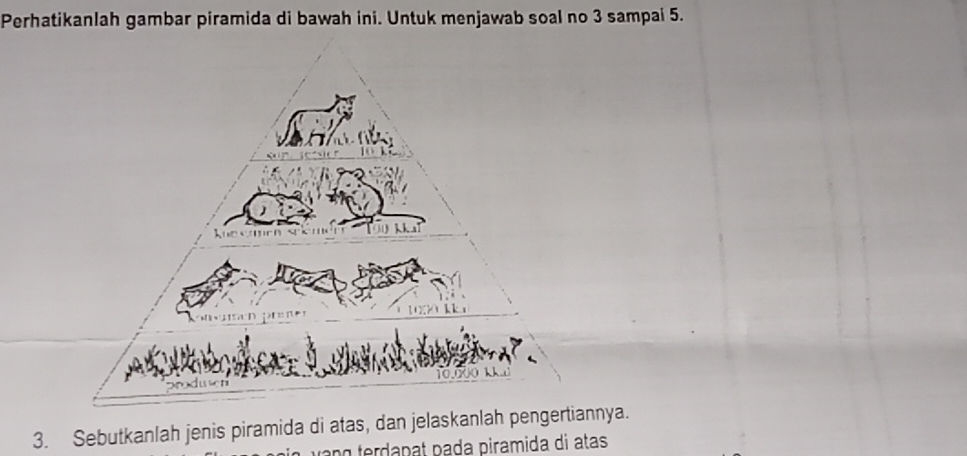Perhatikanlah gambar piramida di bawah ini. | StudyX
