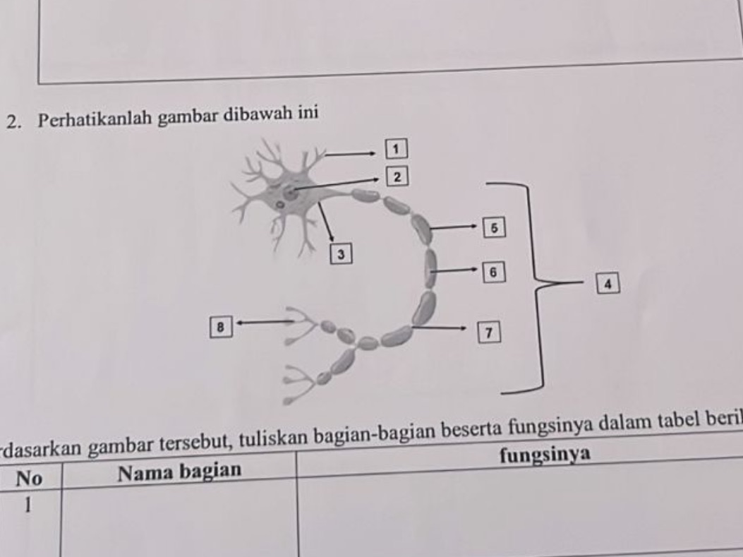 2. Perhatikanlah gambar dibawah ini Based | StudyX