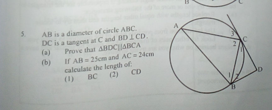 AB is a diameter of circle ABC. DC is a | StudyX