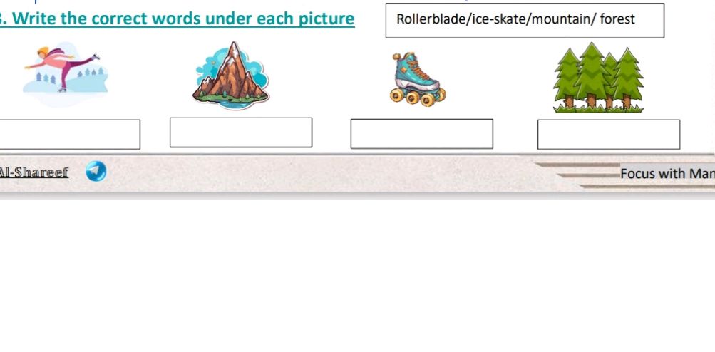 Write the correct words under each picture | StudyX